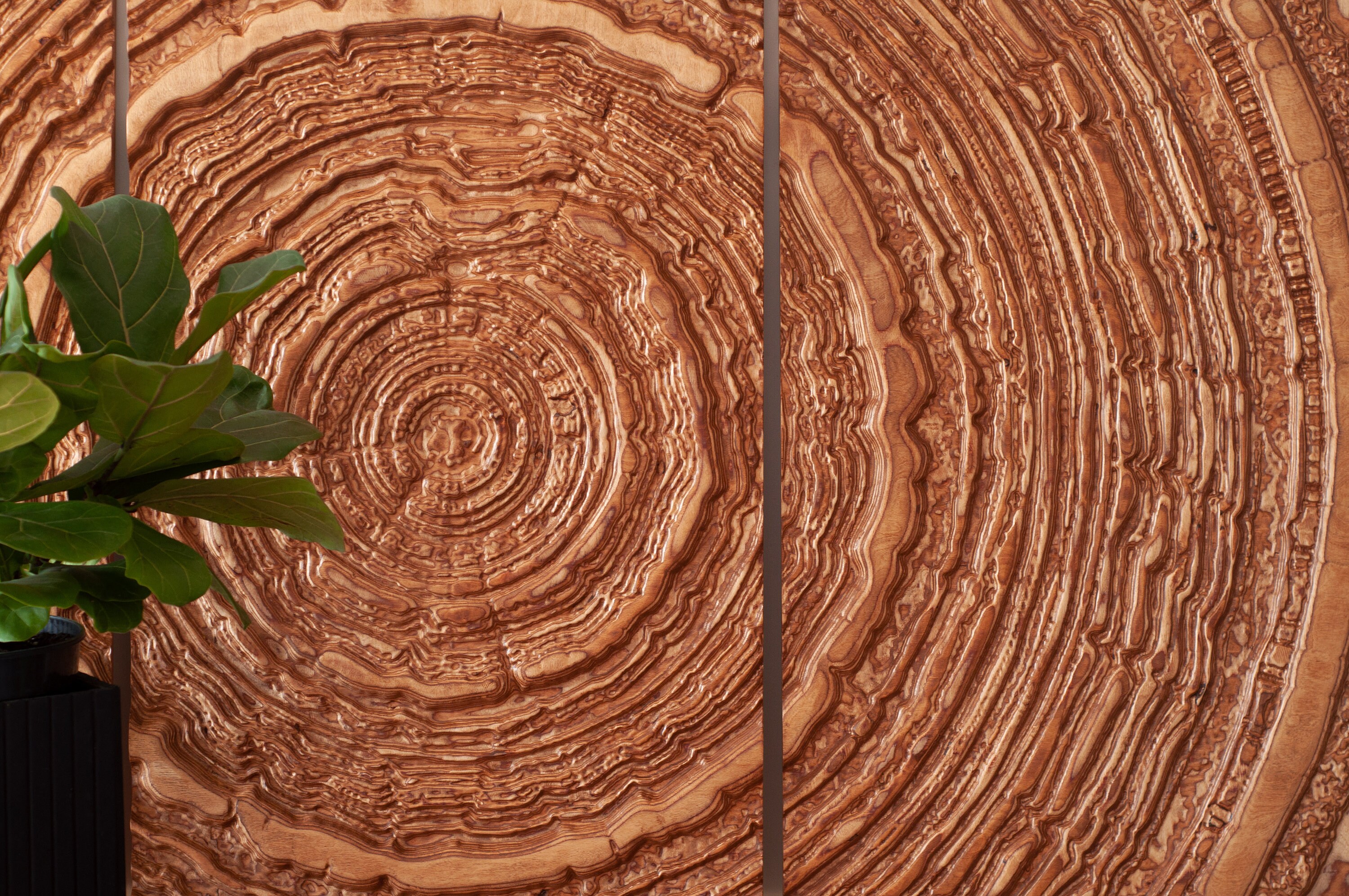 Wood Trunk Triptych Wall Art, Natural Birch Veneer Sculpture, Modern ...