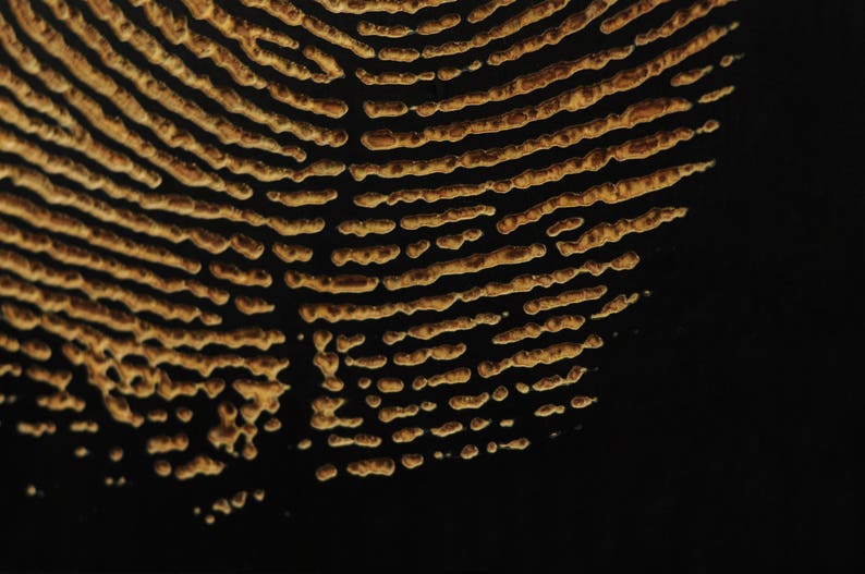 Fingerprints on Plywood 3d Panels Personal Decor Original - Etsy