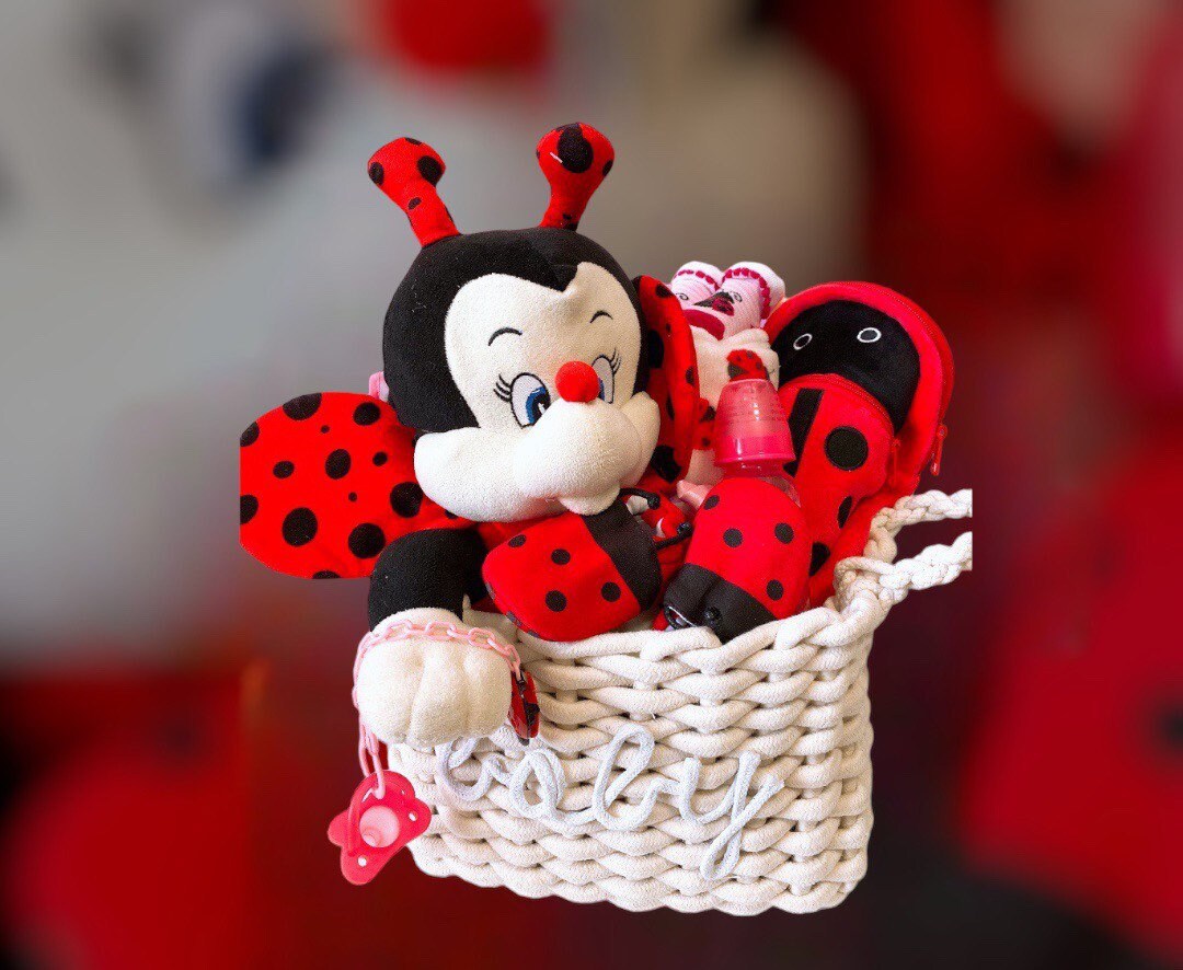 Ladybug Baby Girl Gift Basket, First Birthday Gift Basket, Lagybug Baby ...