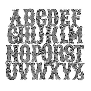 Doodle Alphabet Snake Skin Pattern, Black & White Snakeskin Pattern ...