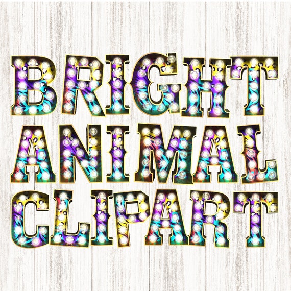 Colorful Cheetah Print Letters