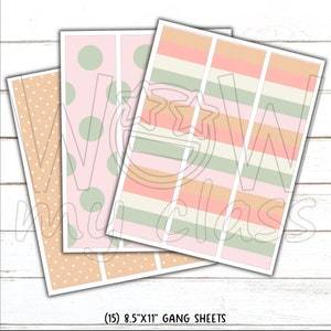 Borders for Bulletin Boards | Print & Cut, Seamless | Classroom Board ...