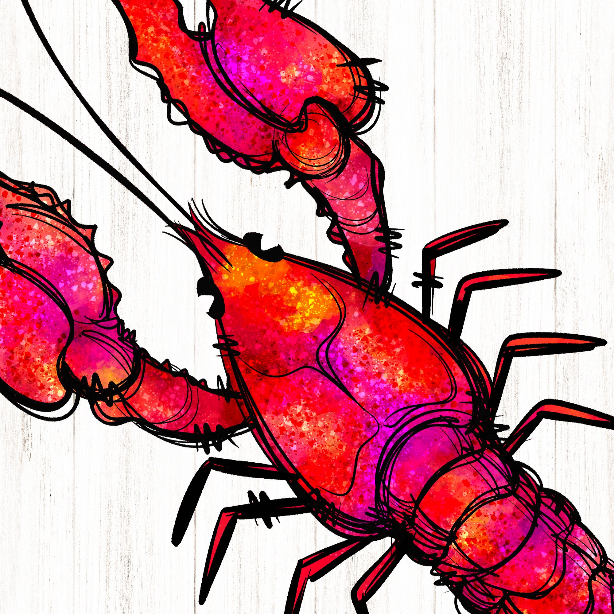Hand Drawn Crawfish PNG Bundle, Set of 6 Crayfish, Crawdads, Colorful ...