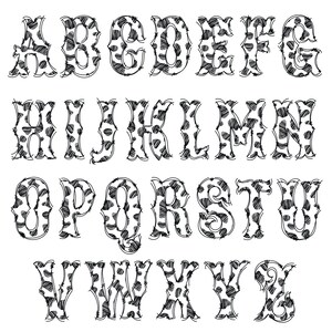 Digital Download | Western Doodle Cow Print Pattern 2 Fill | PNG ...