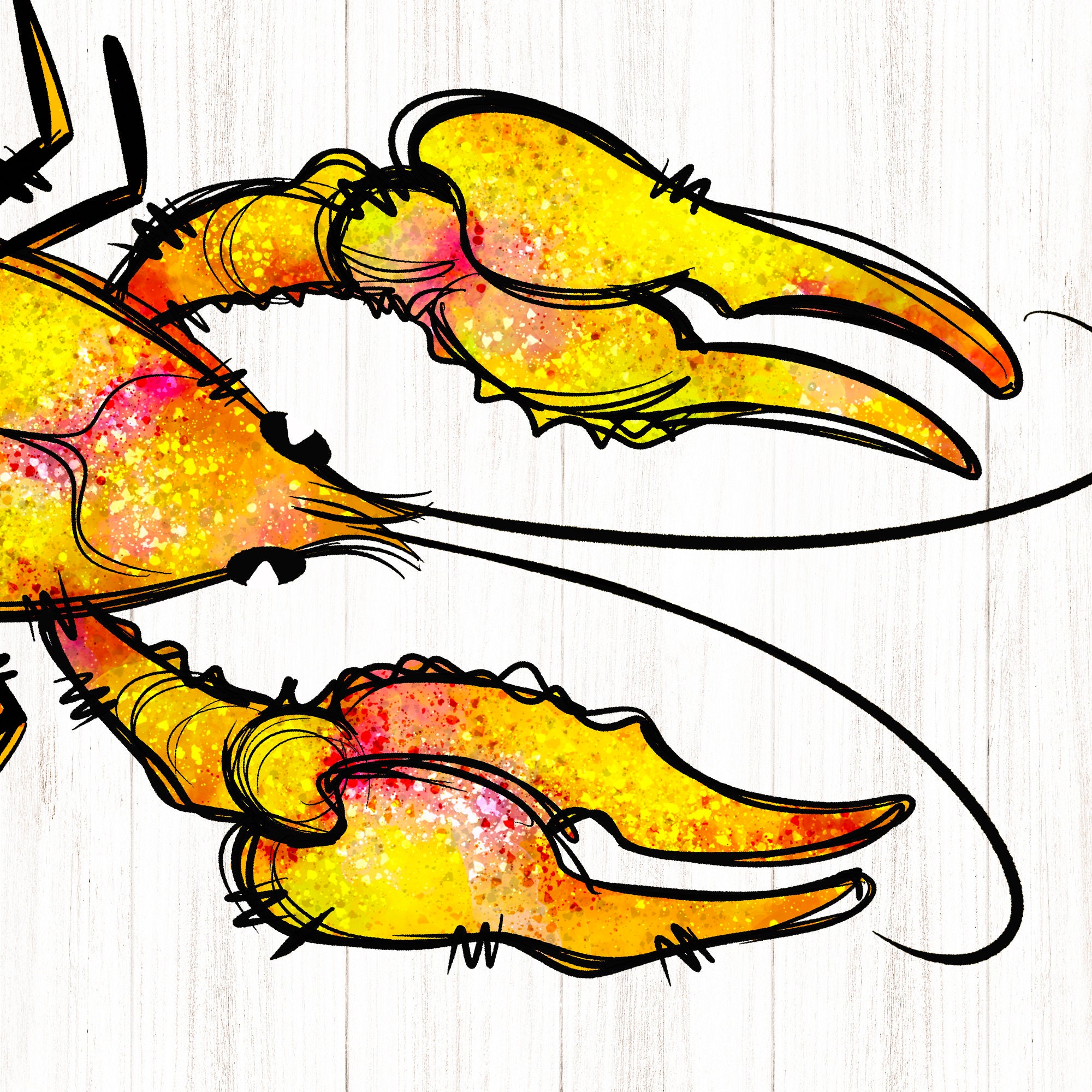 Hand Drawn Crawfish PNG Bundle Set of 6 Crayfish Crawdads - Etsy