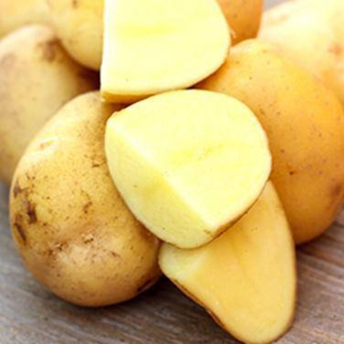 Potatoes Seed german Butterball 4 Seed. Ready for Planting. - Etsy