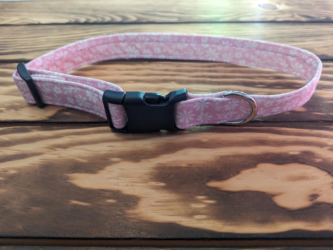 Floral Cuss Words Collar, Swear Words Dog and Cat Collar - Etsy