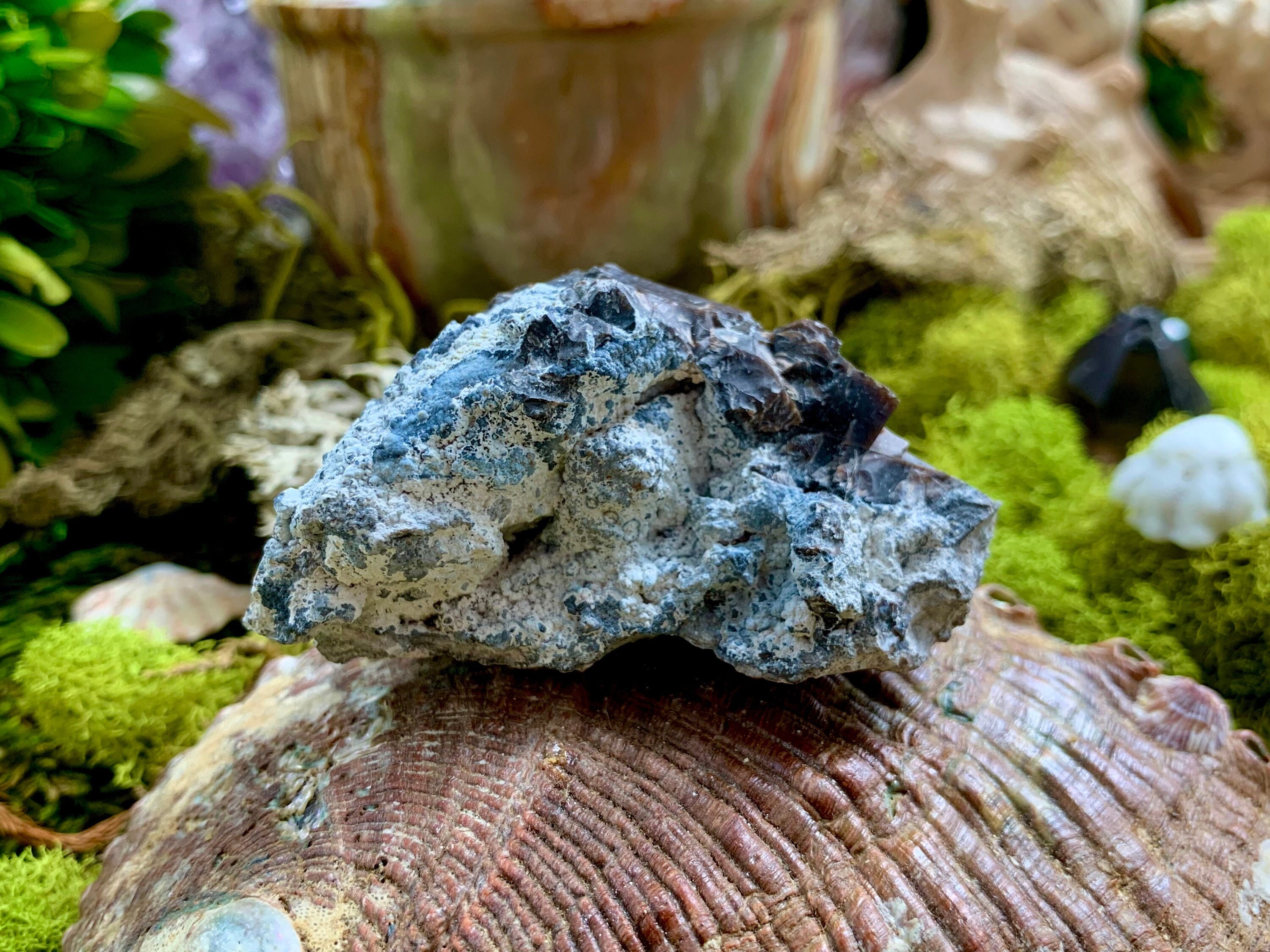 Botryoidal Agate Black Flint Stone Agatized Coral Chert Specimen From ...