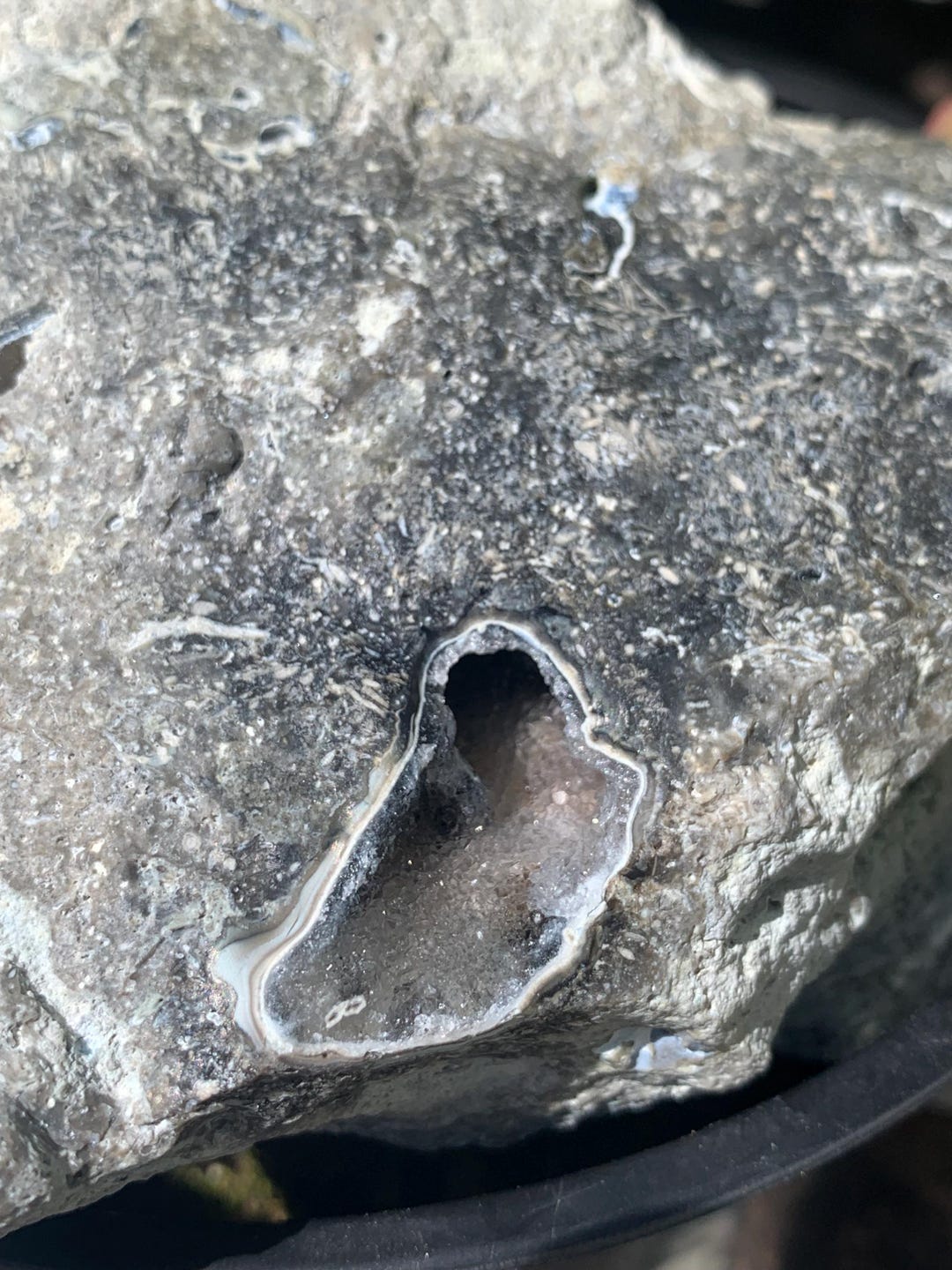 Uncut Agatized Coral Geode Tampa Bay Black Quartz Tunnel UV Reactive ...