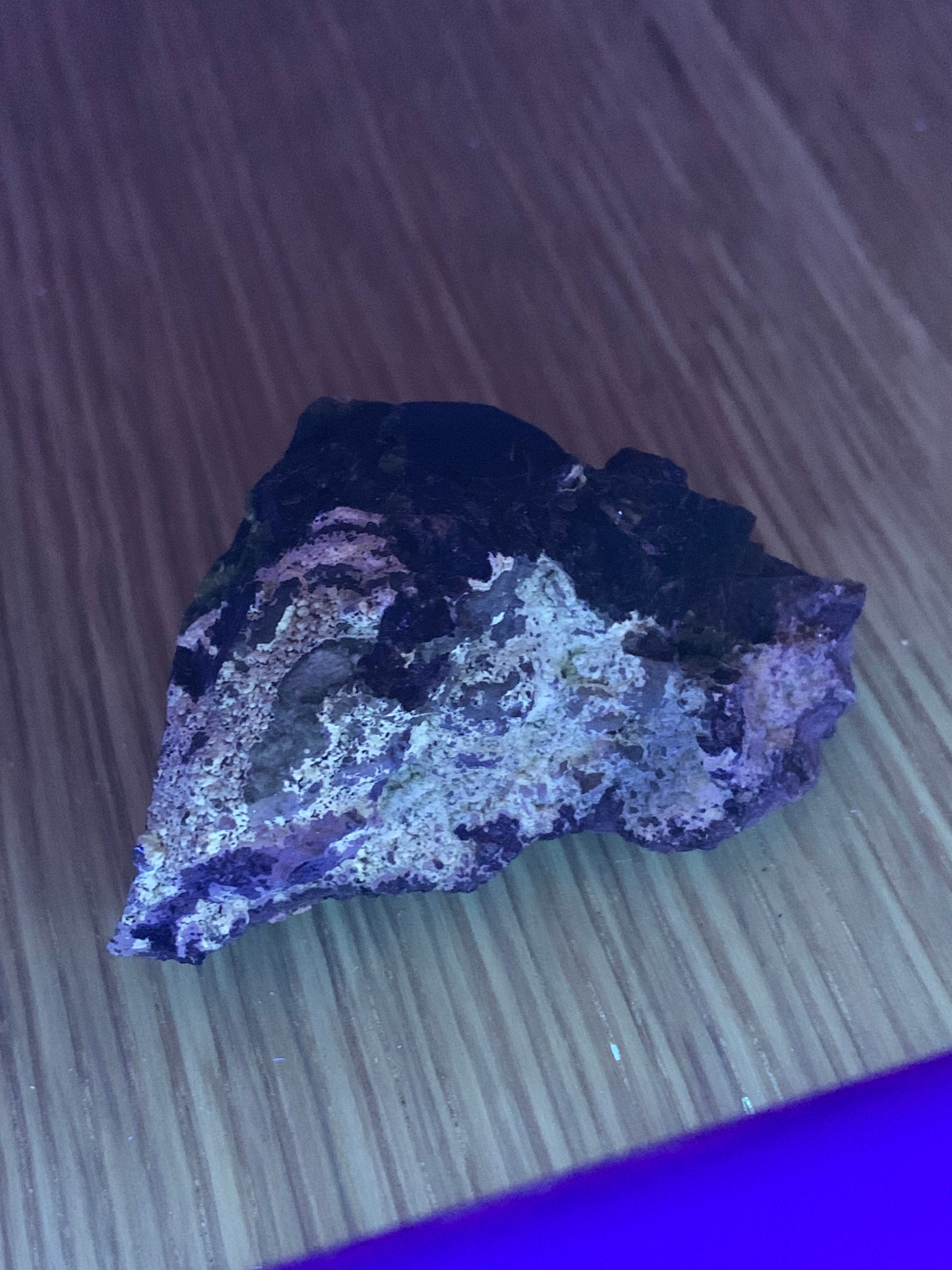 Botryoidal Agate Black Flint Stone Agatized Coral Chert Specimen From ...