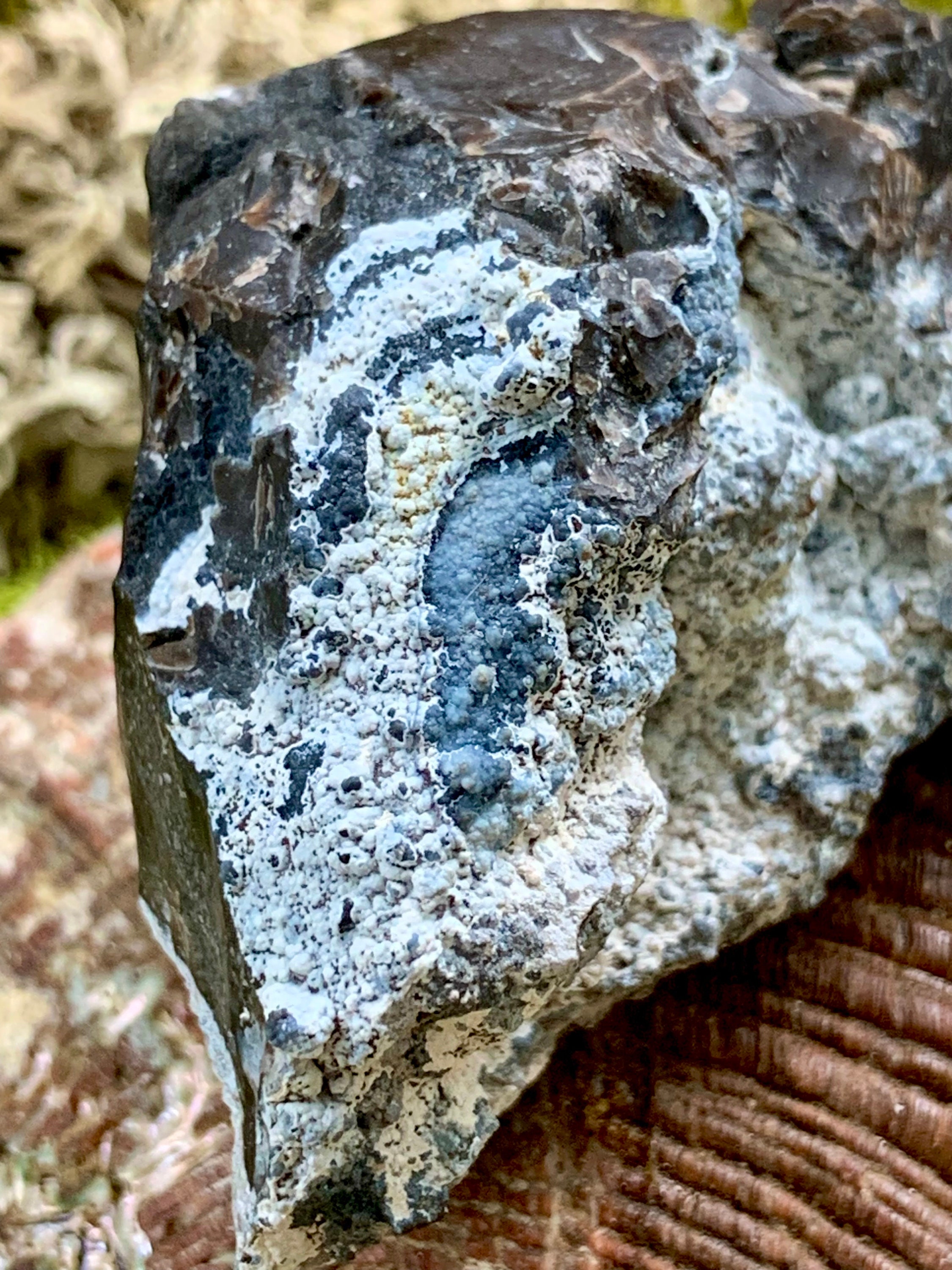 Botryoidal Agate Black Flint Stone Agatized Coral Chert Specimen From ...