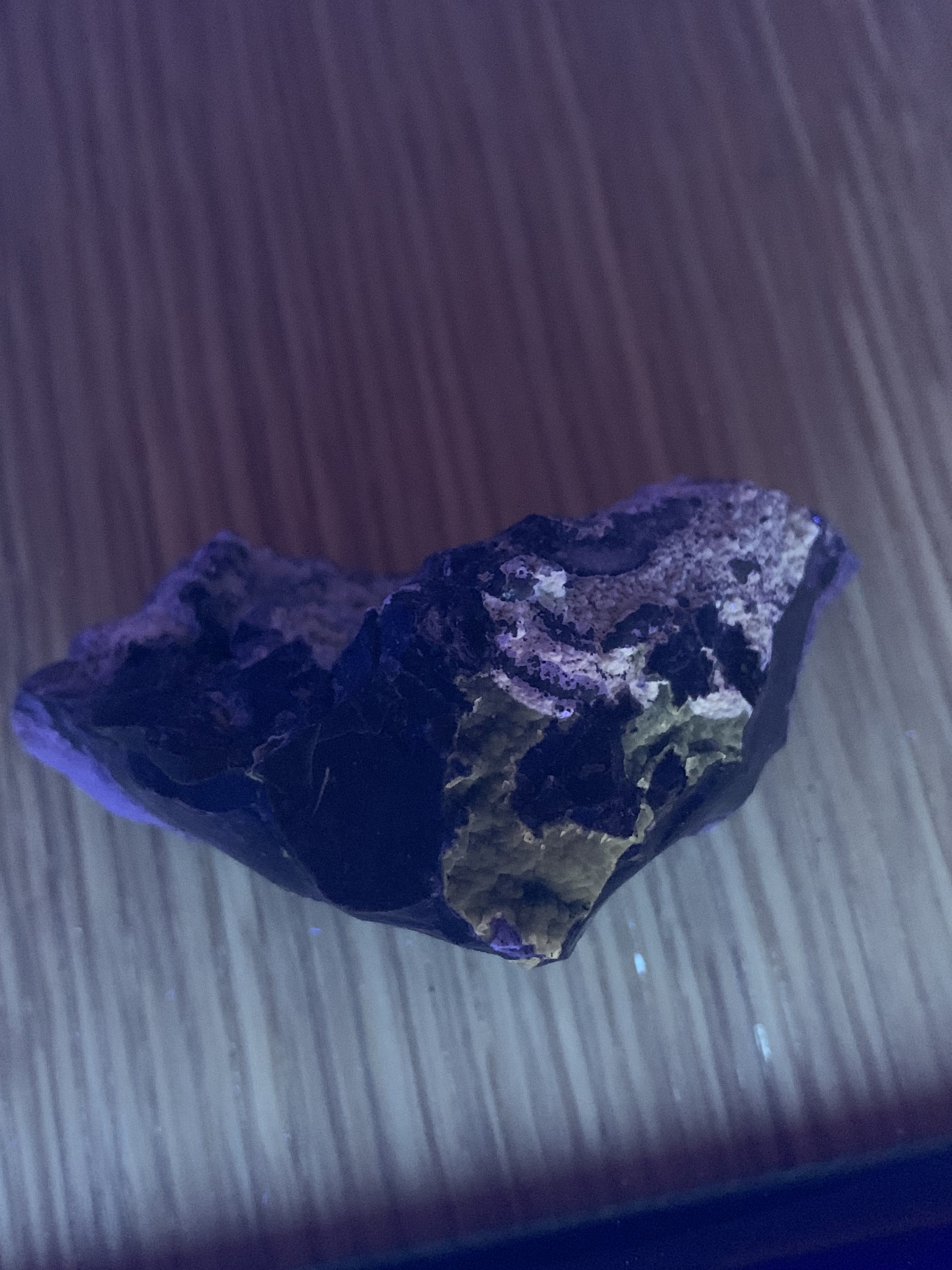 Botryoidal Agate Black Flint Stone Agatized Coral Chert Specimen From ...