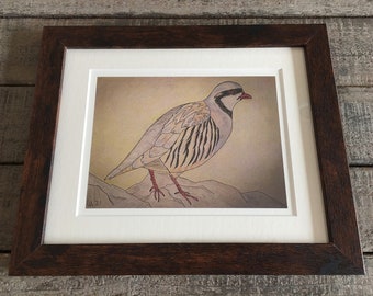 Chukar Partridge Art - Etsy