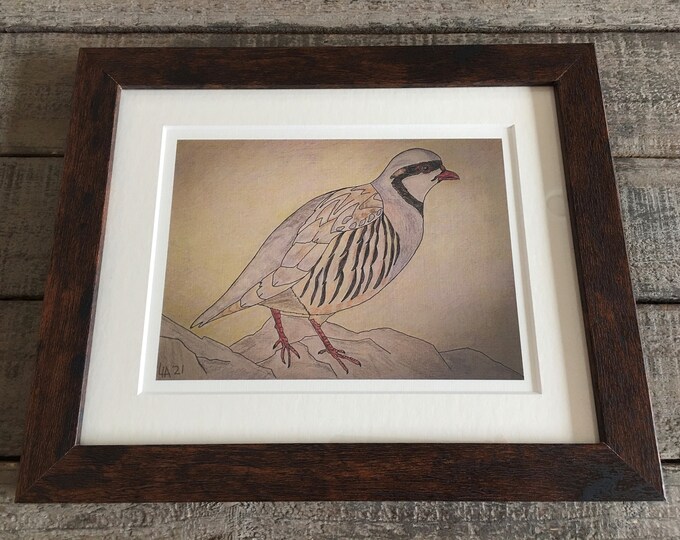Chukar, Chukar Art, Chukar Partridge Art Print, Chukar Art Print, Game ...