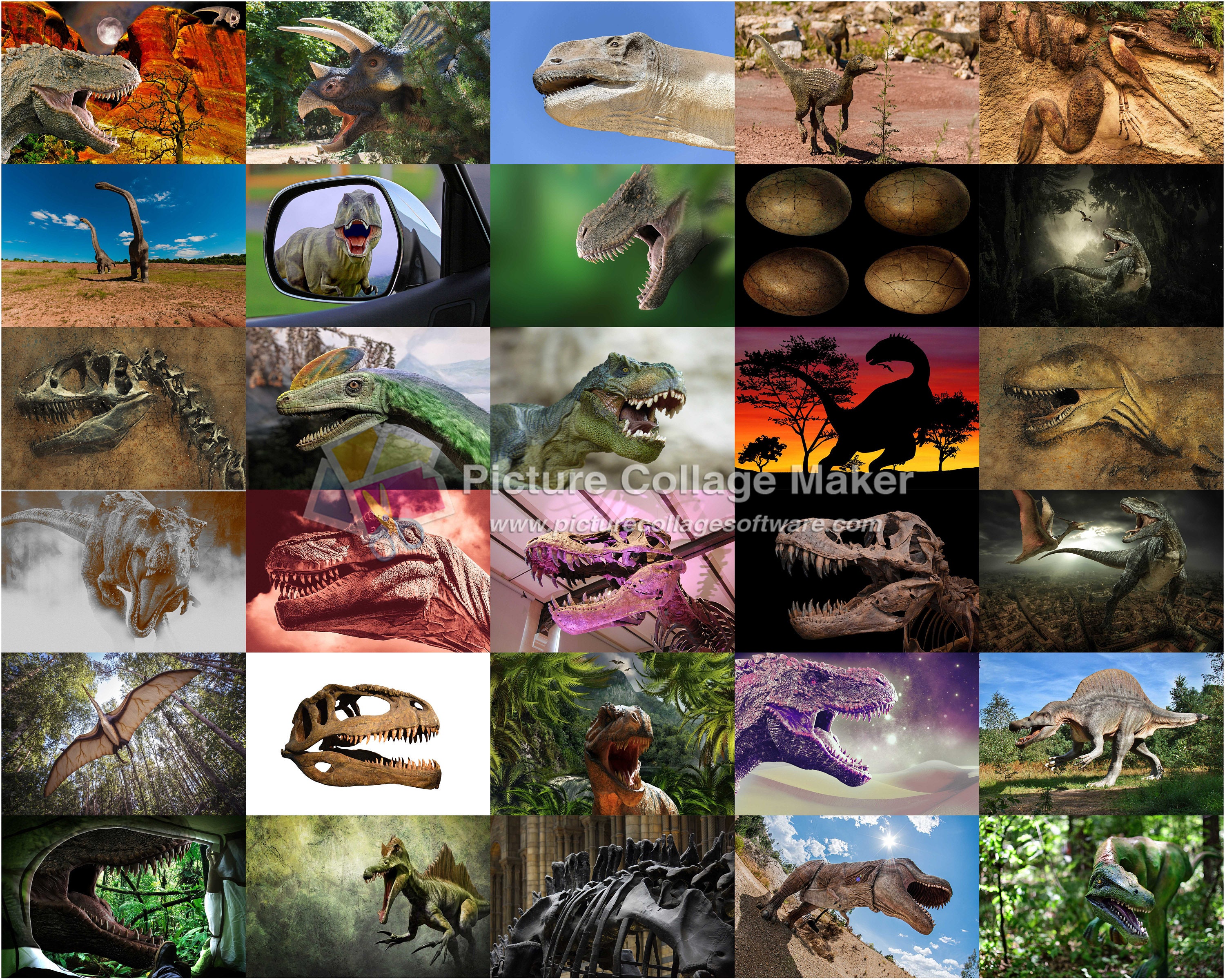 30 Wall collage kit digital prints aesthetic dinosaur room | Etsy