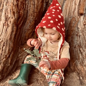 Red Wool Mushroom Pixie Kids Hat Fleece Lined Toadstool Bonnet Autumn ...