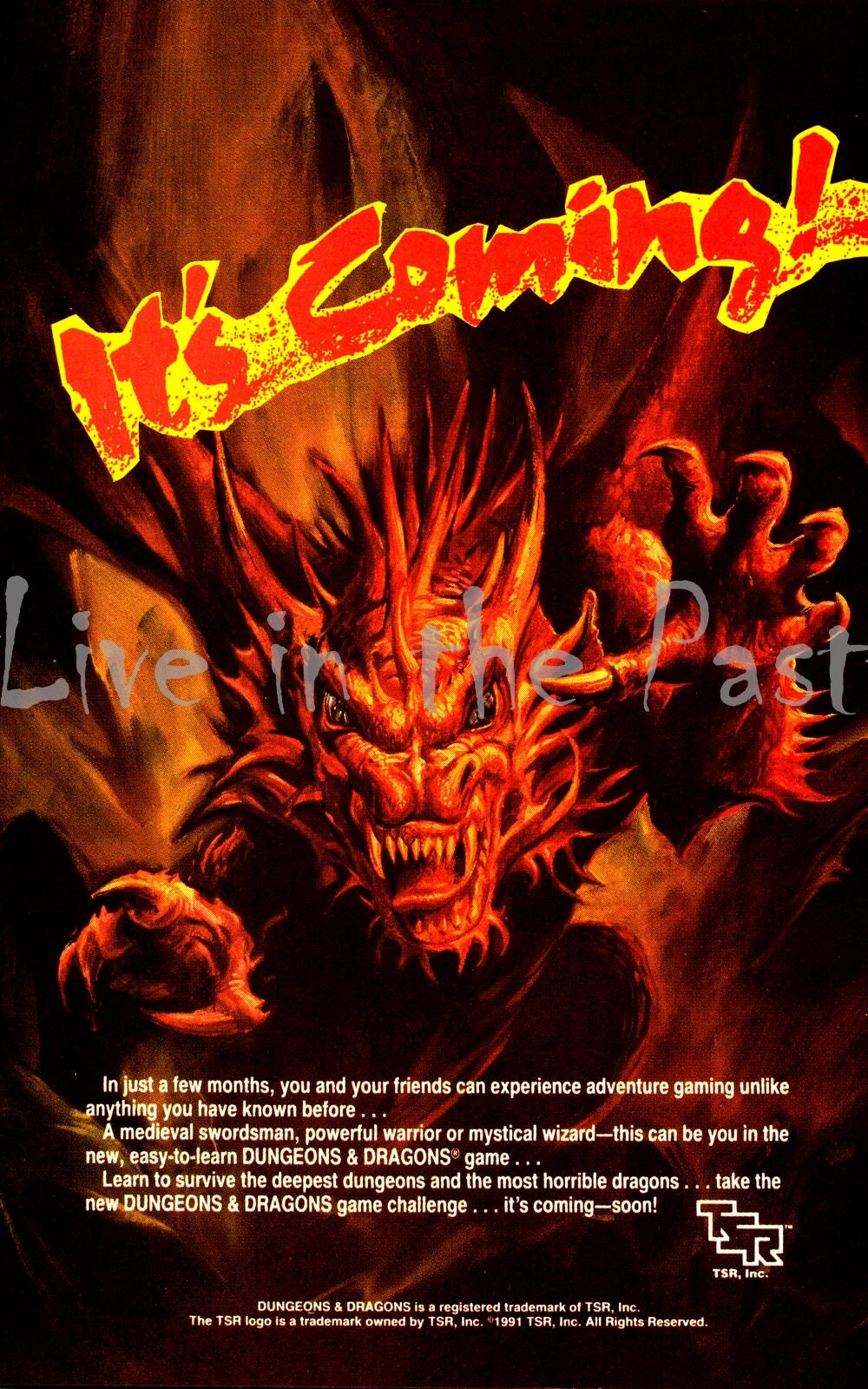 Dungeon and Dragons Advertisement Poster Print - Etsy Australia