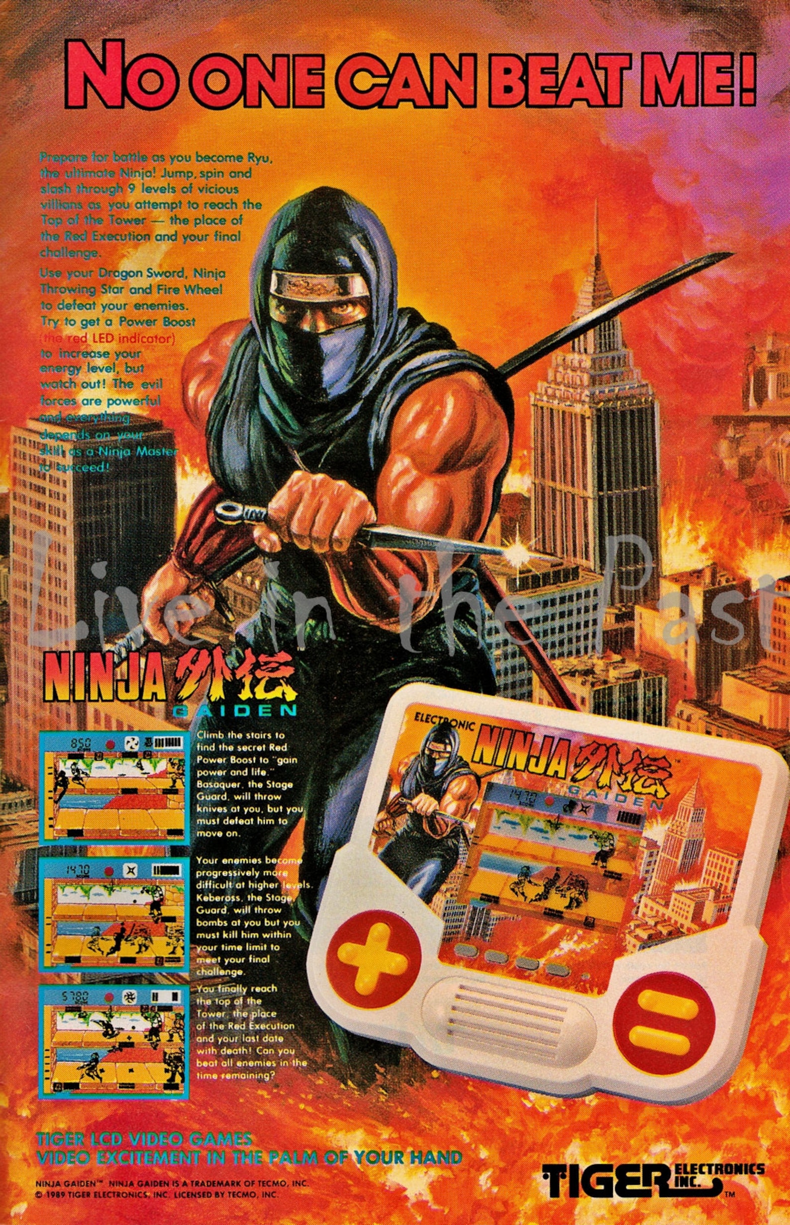 Ninja Gaiden Tiger Game Ad Poster Print 11x17 - Etsy
