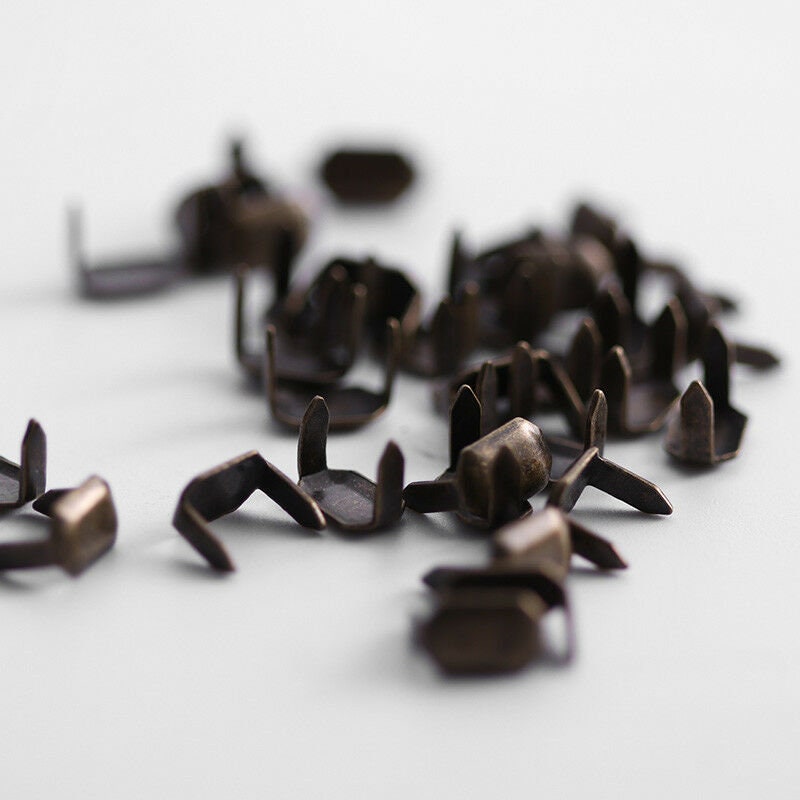 Solid Brass Leather Staples for Belt Loops Fastener Holder Dressmake ...