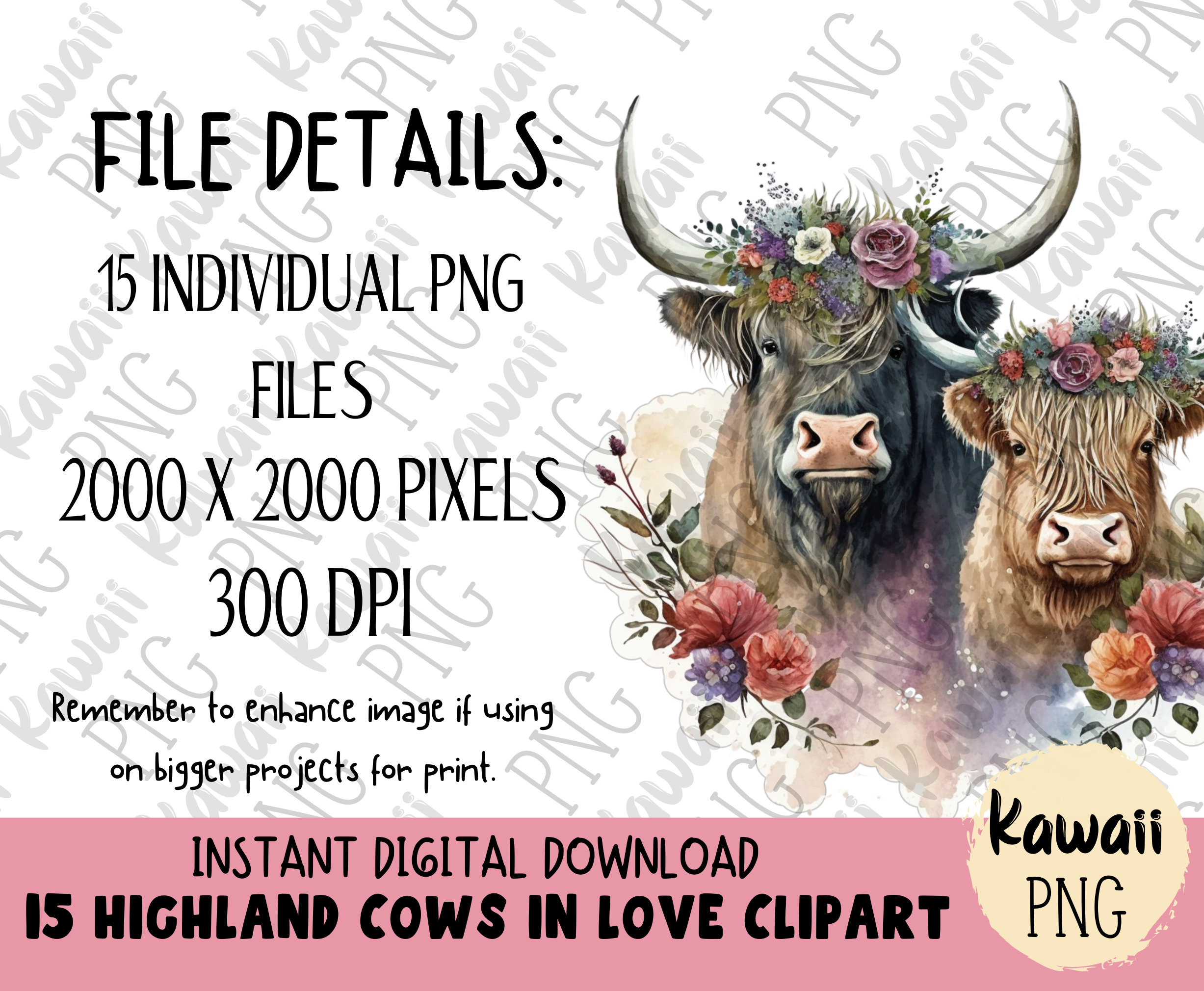 Highland Cow PNG Watercolor Wedding Clipart Cute Cow Couple Clip Art ...
