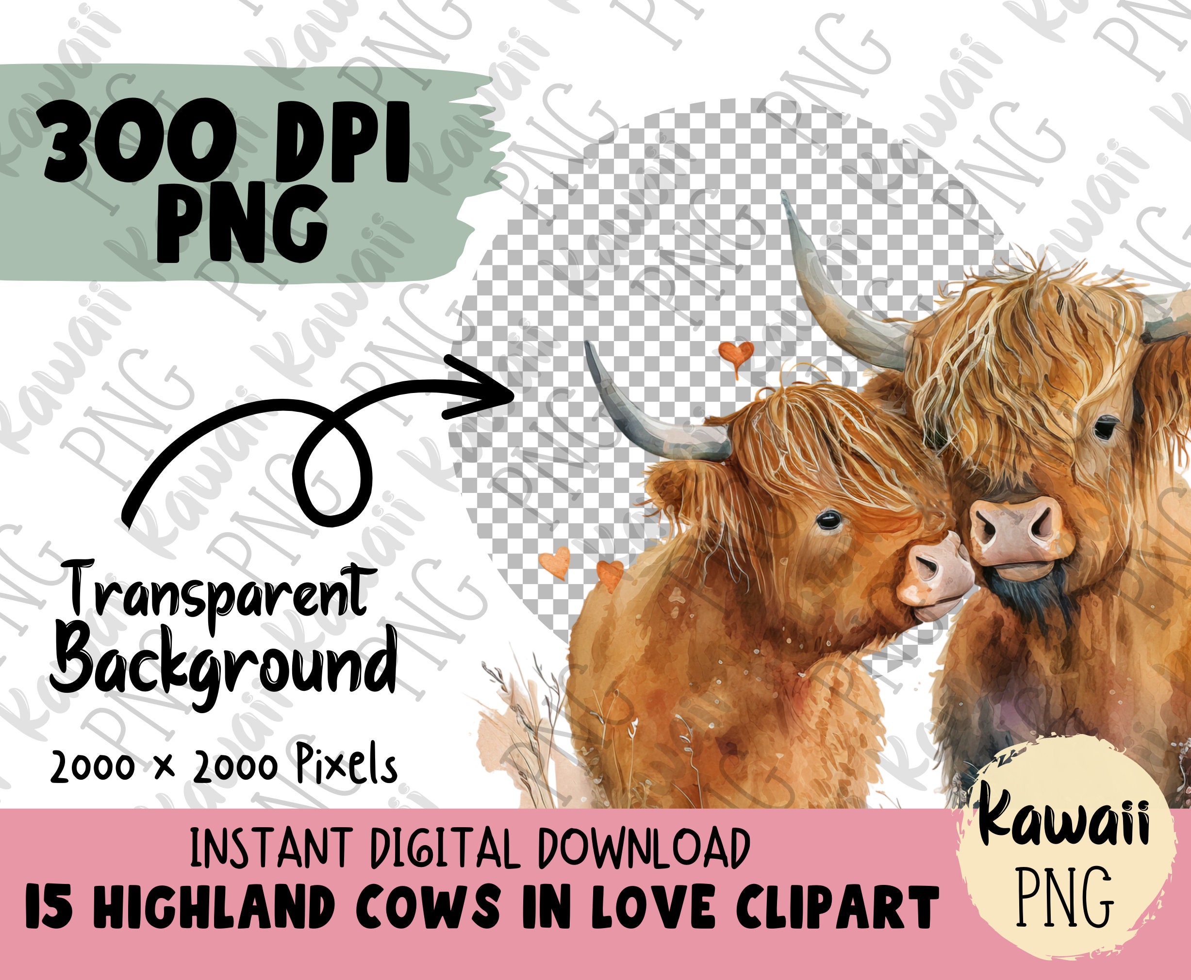 Highland Cow PNG Watercolor Wedding Clipart Cute Cow Couple Clip Art ...