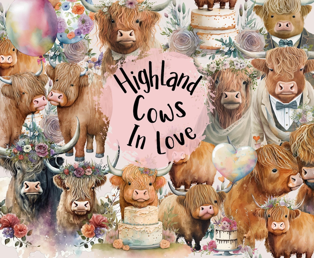 Highland Cow PNG Watercolor Wedding Clipart Cute Cow Couple Clip Art ...