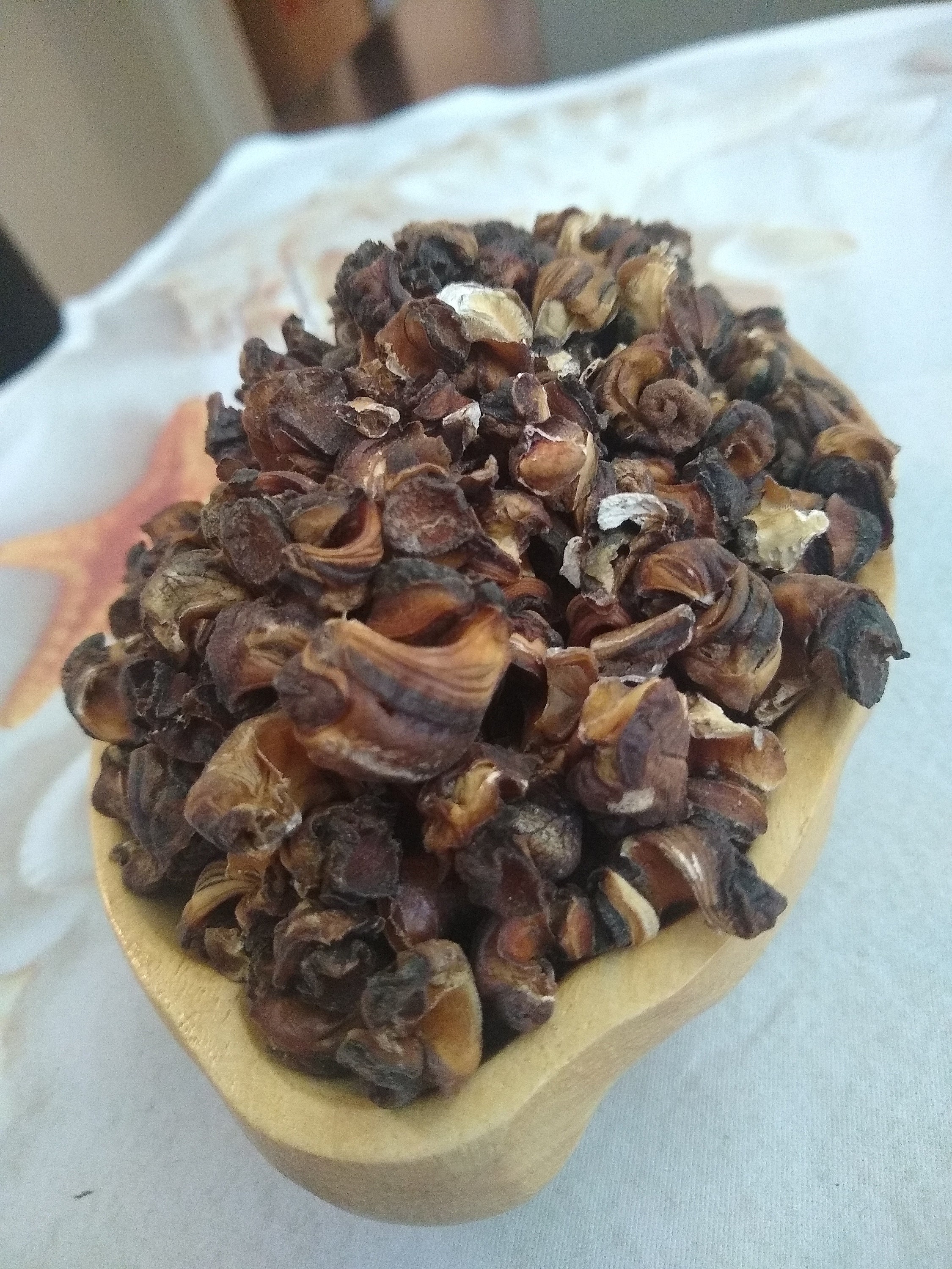 Dried Ngolo/dried Sea Whelk / Dried Sea Snail African Nigerian Naija ...