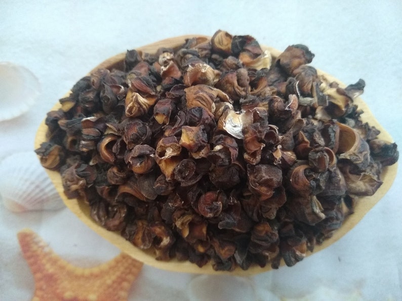 Dried Ngolo/dried Sea Whelk / Dried Sea Snail African Nigerian Naija ...