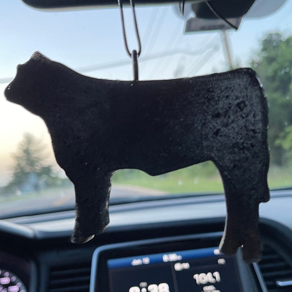 Show Cattle - Etsy