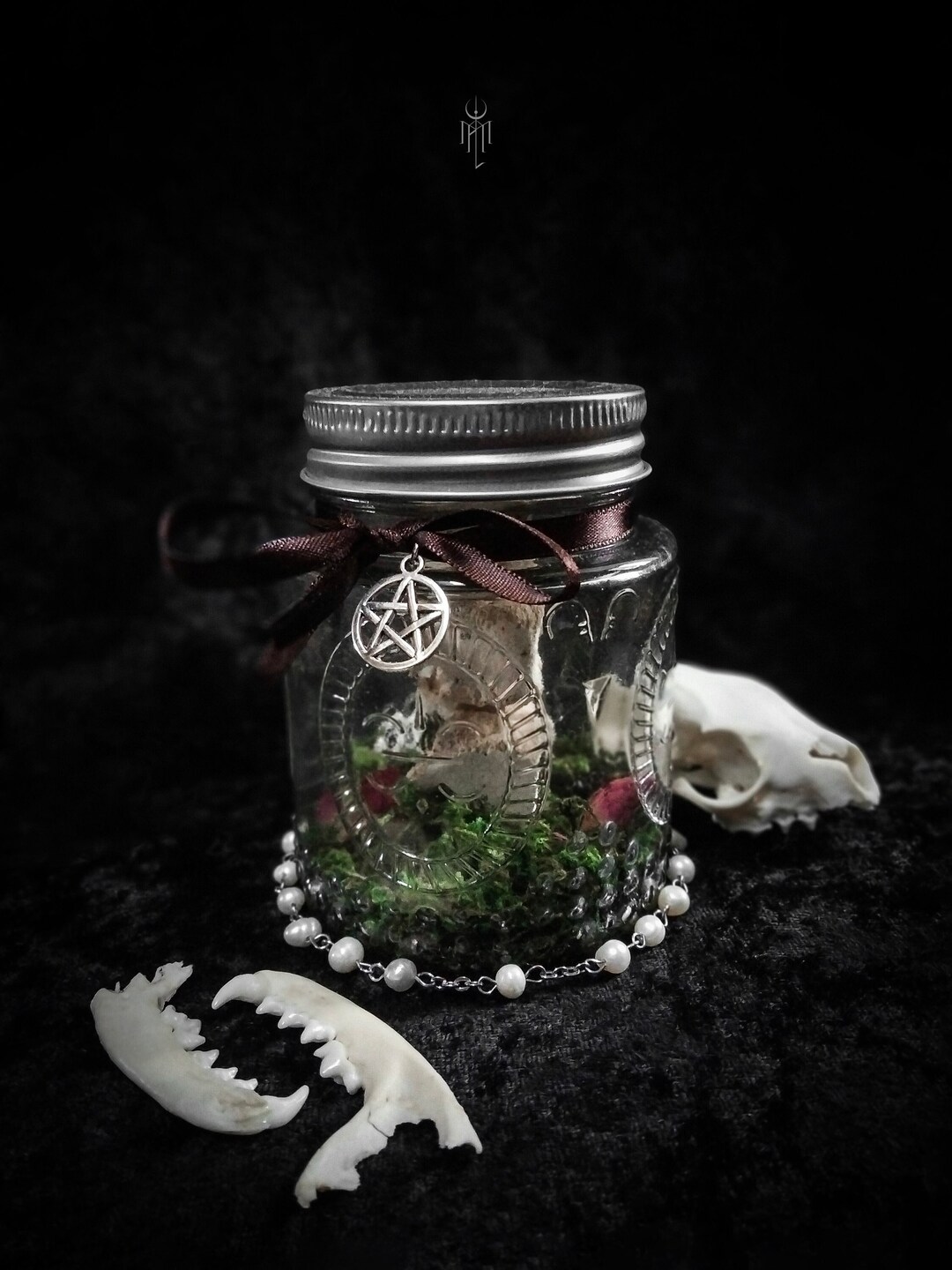Bone Column Terrarium Pot - Etsy