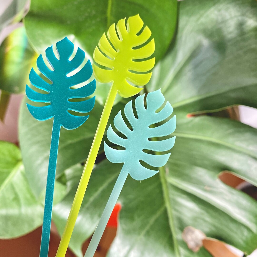 Monstera Leaf Stir Sticks for Cocktails // Tropical Party Decor, Palm ...