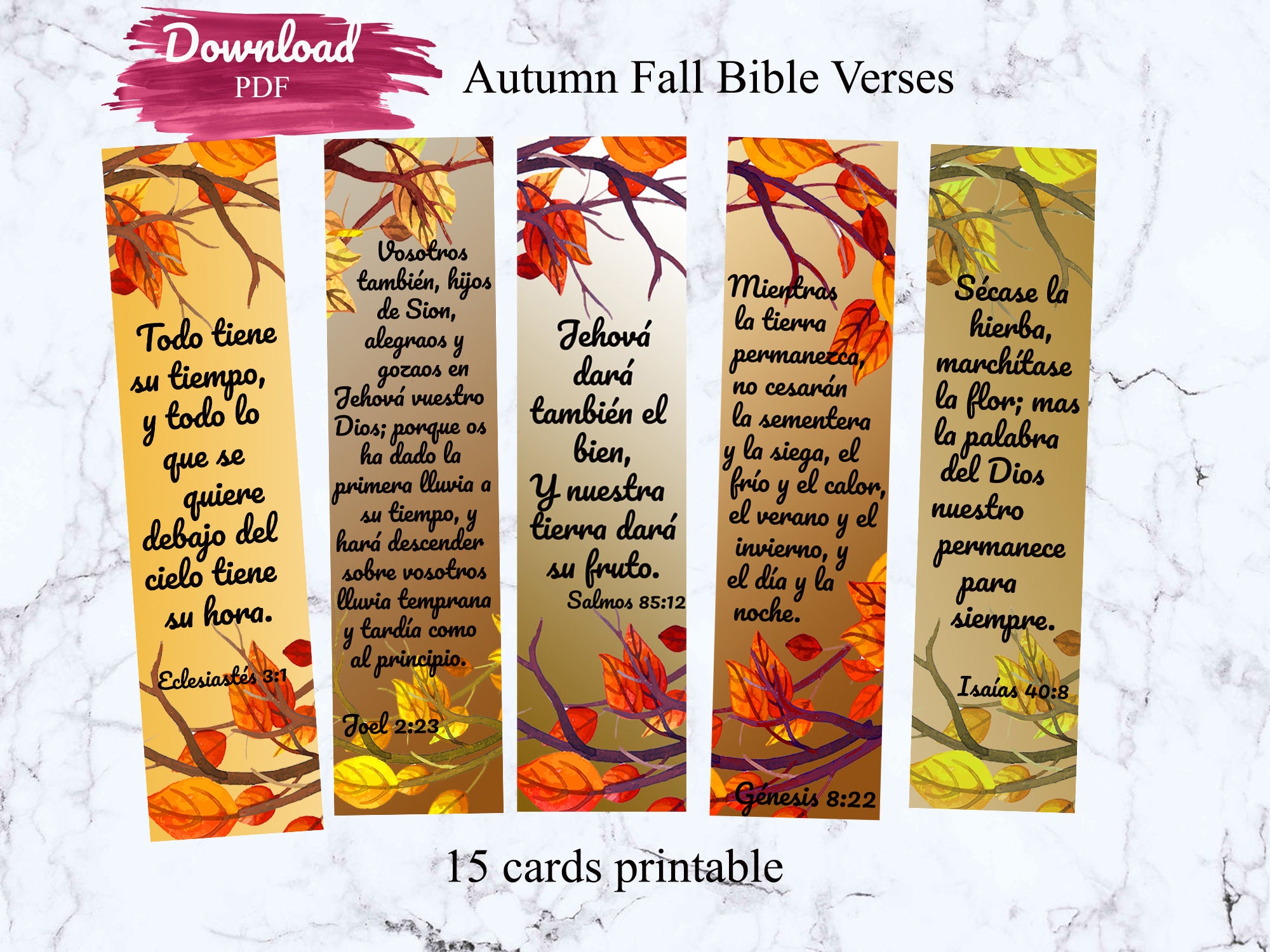 Spanish Bible Verses Cards, Spanish Scripture Cards, Bible Study ...