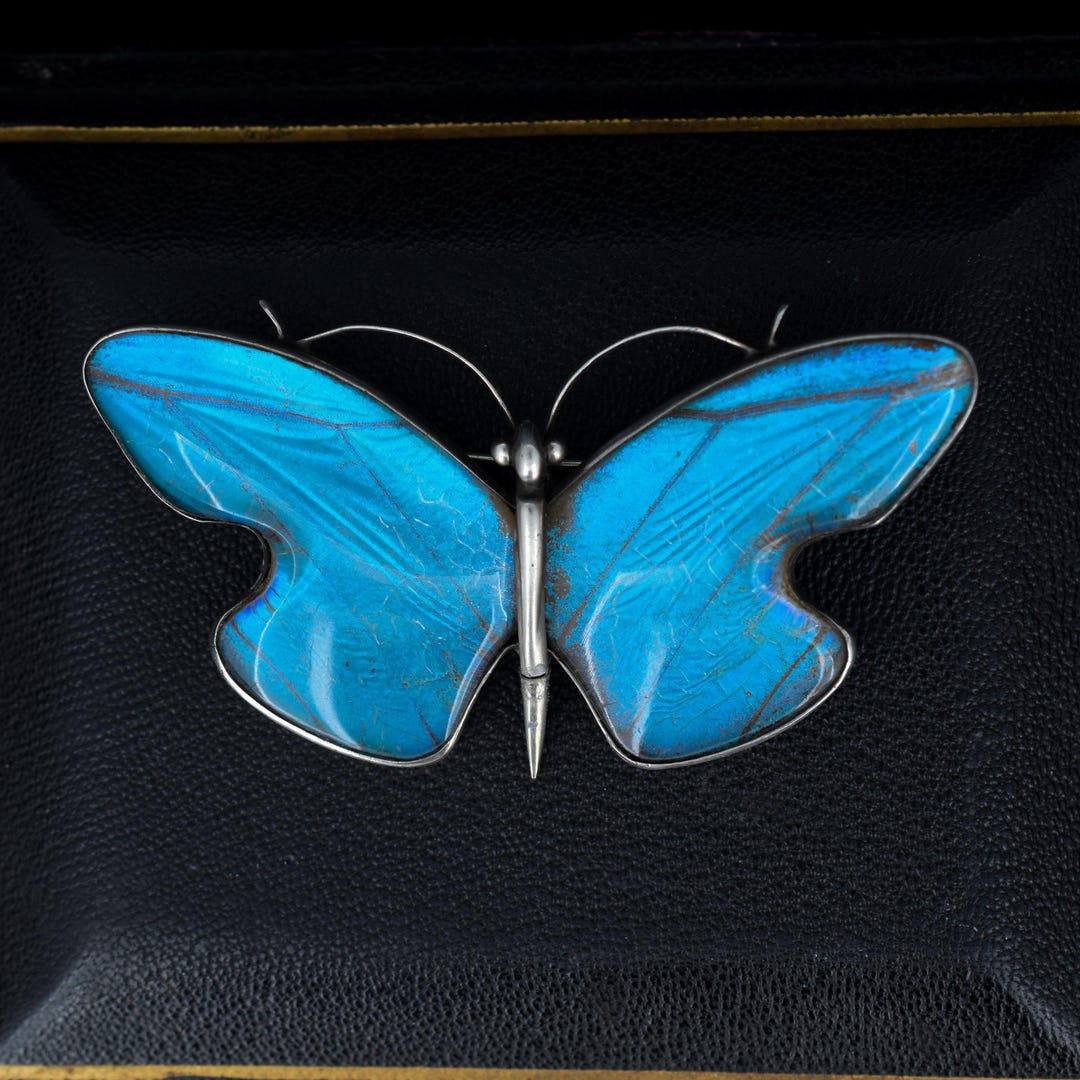 Antique Art Deco Sterling Silver Butterfly Wing Butterfly Brooch Pin - Etsy