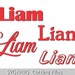 SVG PNG Cutting Files Template Boy Name Liam Vector Decal Cricut ...