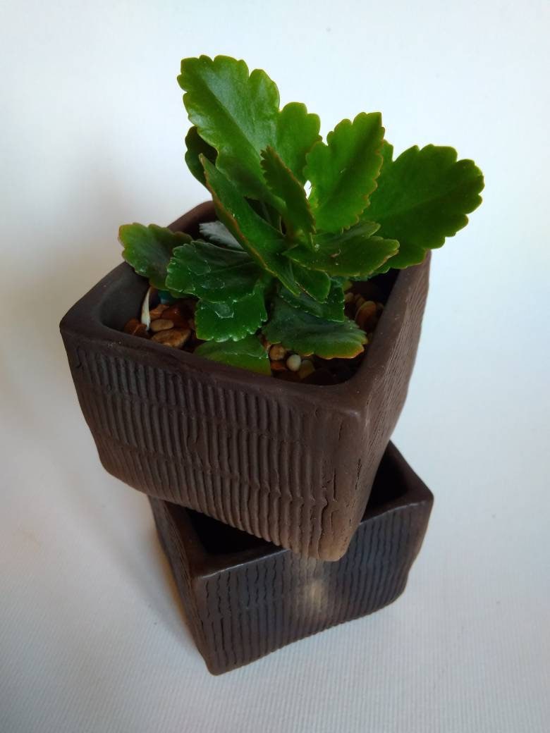 Square Black Ceramic Succulent Planter. Small Minimalist Cactus Planter ...