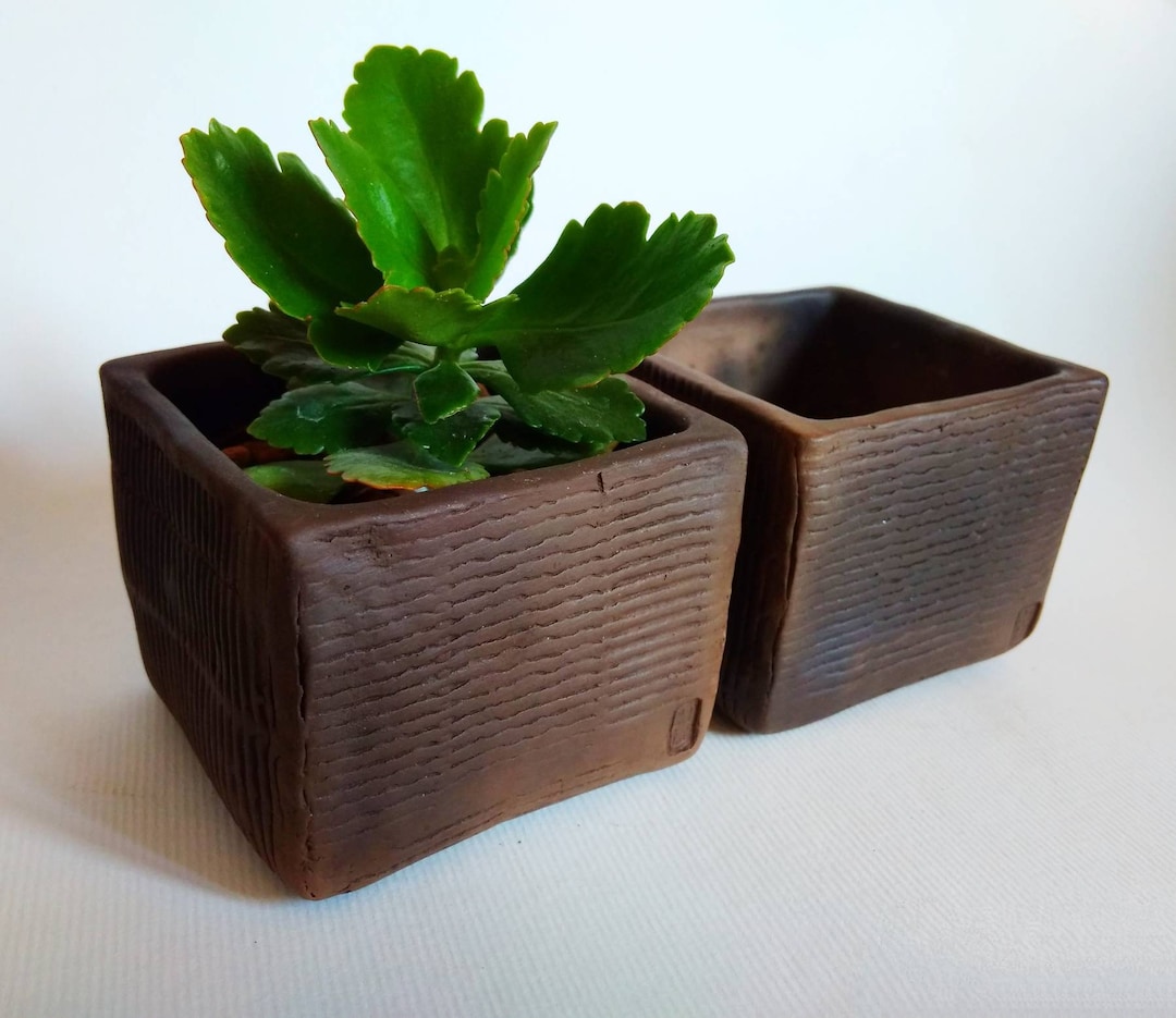Square Black Ceramic Succulent Planter. Small Minimalist Cactus Planter ...