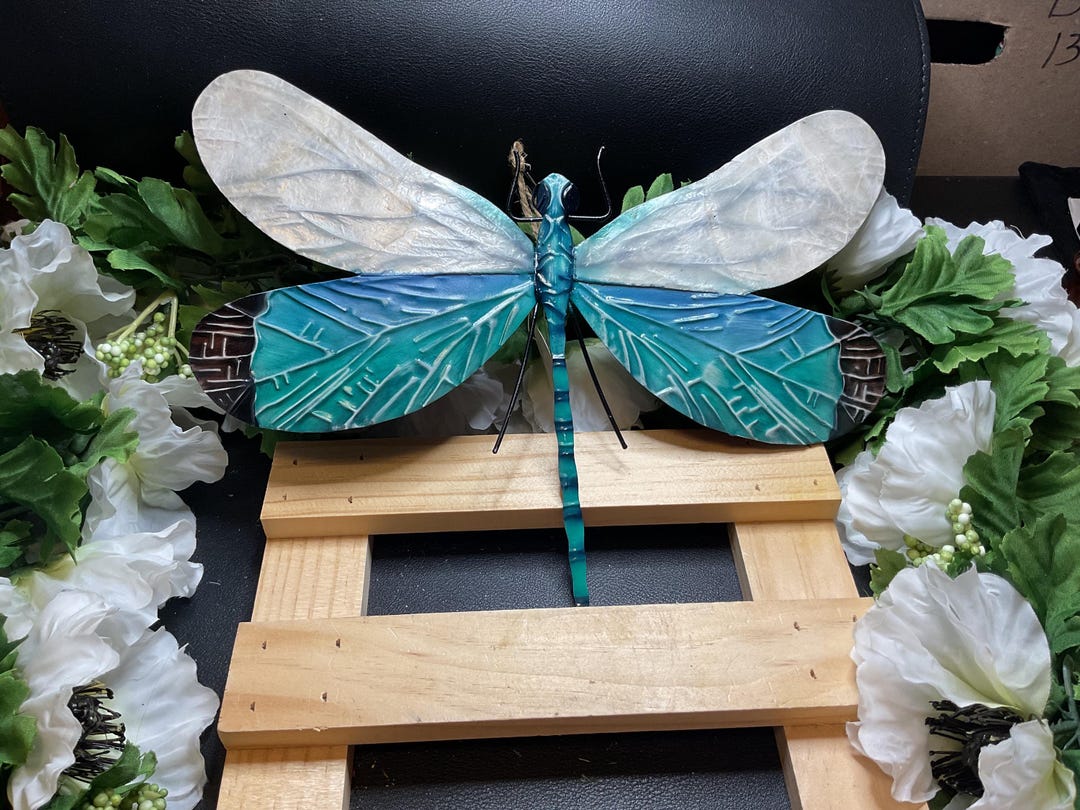 Eangee Dragonfly Hand Painted and Adorned With Capiz Shells, Beautiful ...