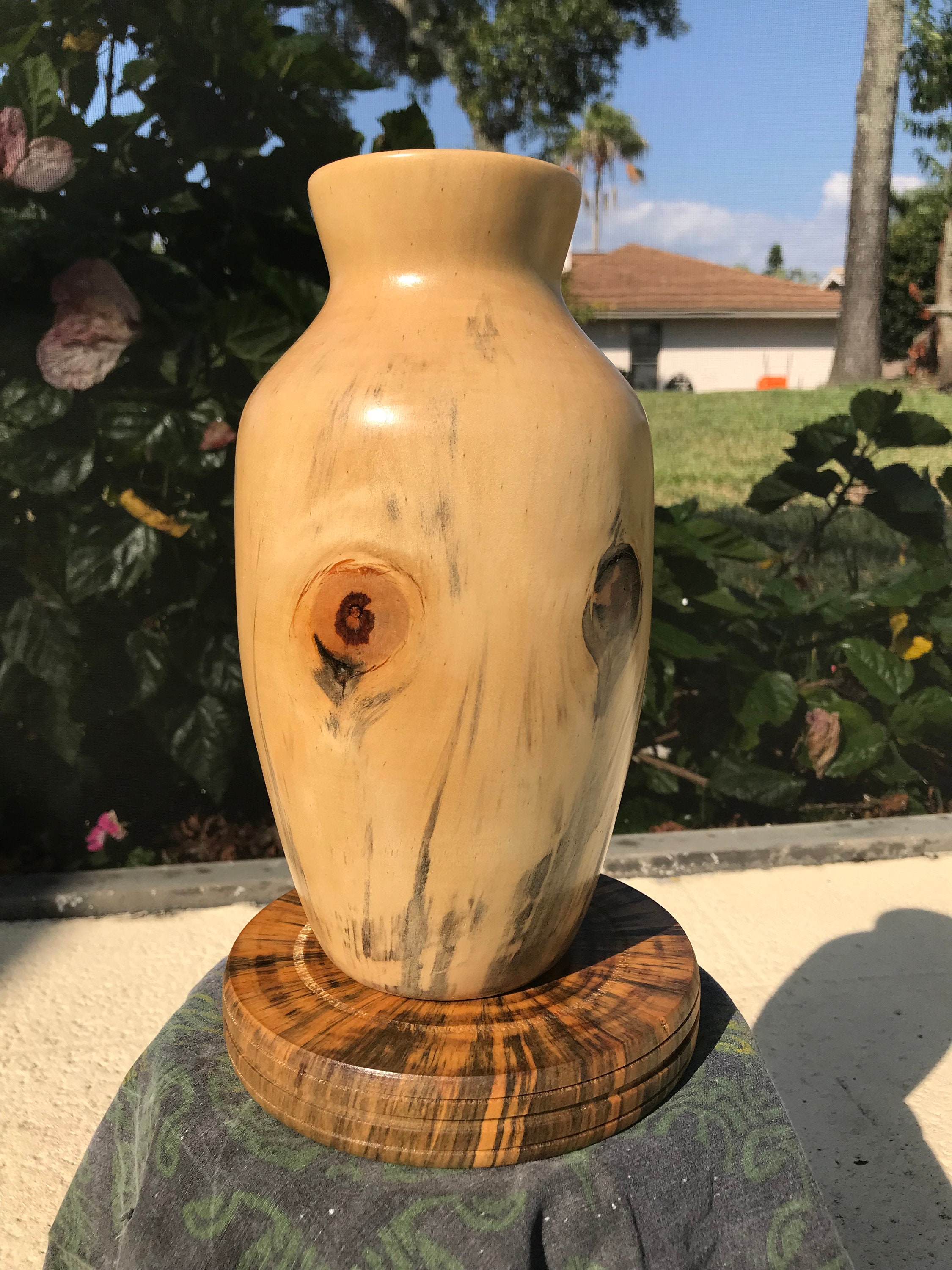 Norfolk Island Pine Vase - Etsy