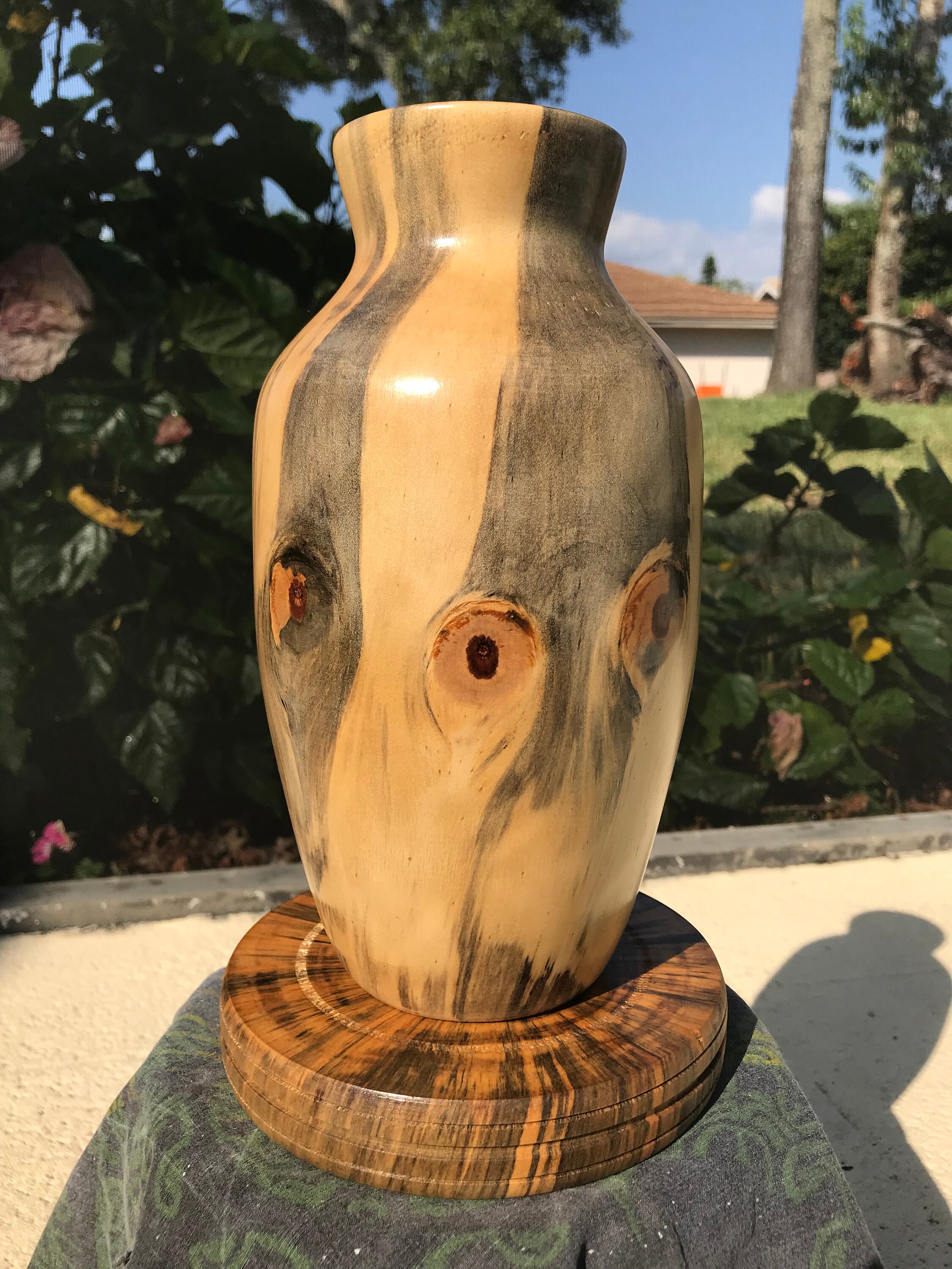 Norfolk Island Pine Vase - Etsy