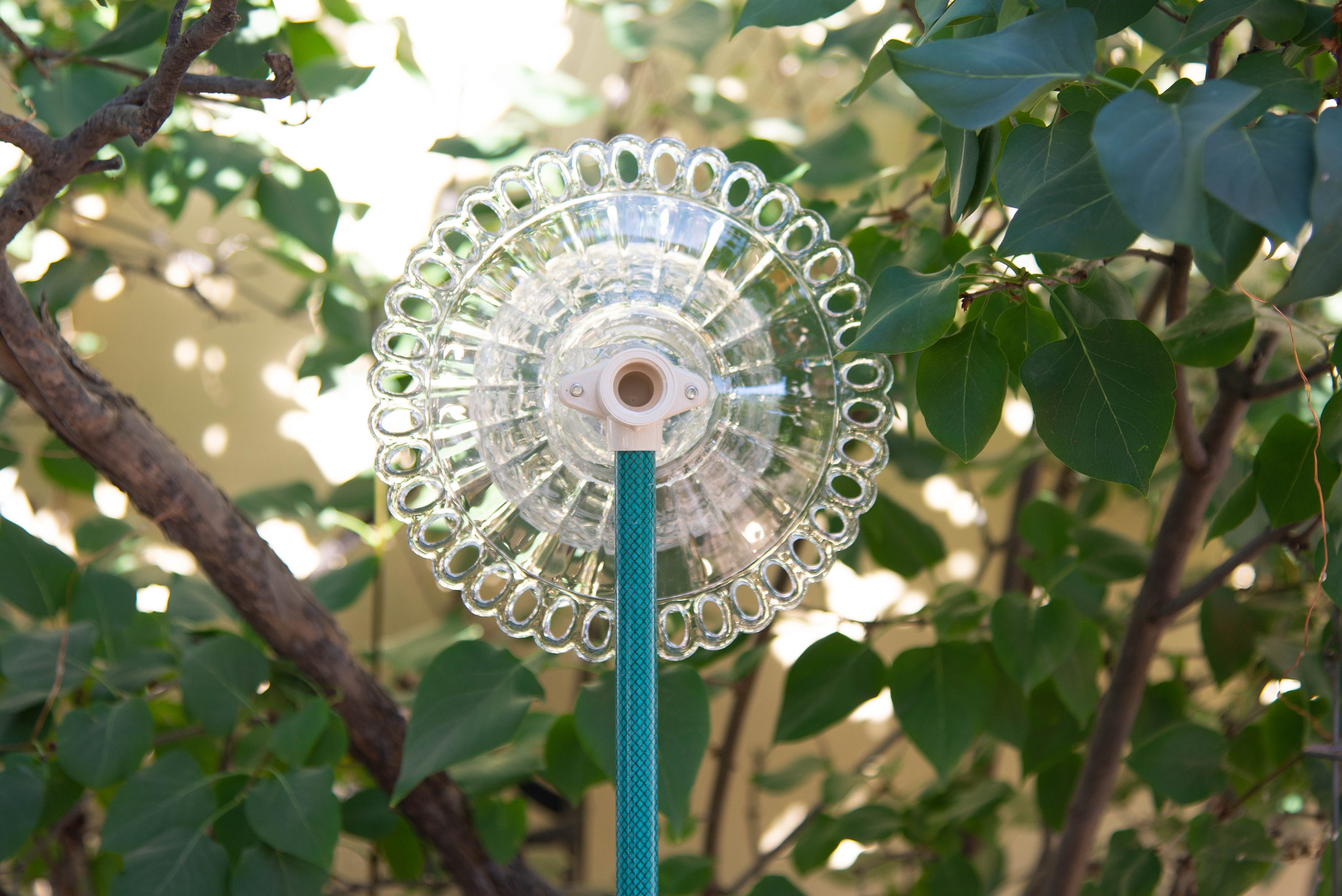 Diphylleia "skeleton Flower"- Glass Flower, Yard Art, Garden Flower ...