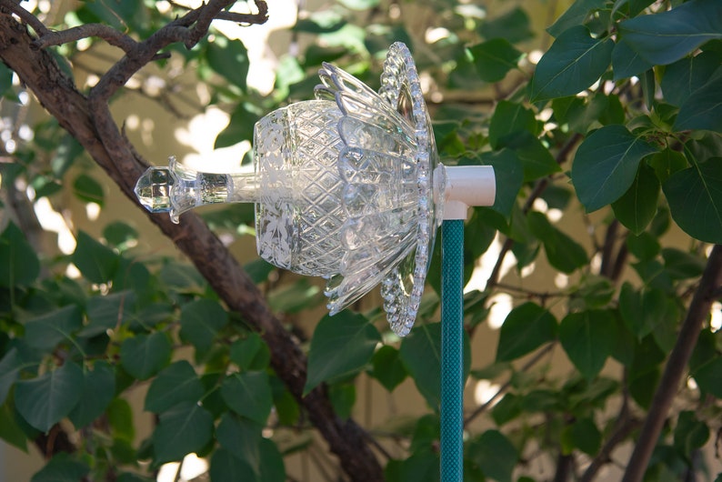 Diphylleia "skeleton Flower"- Glass Flower, Yard Art, Garden Flower ...