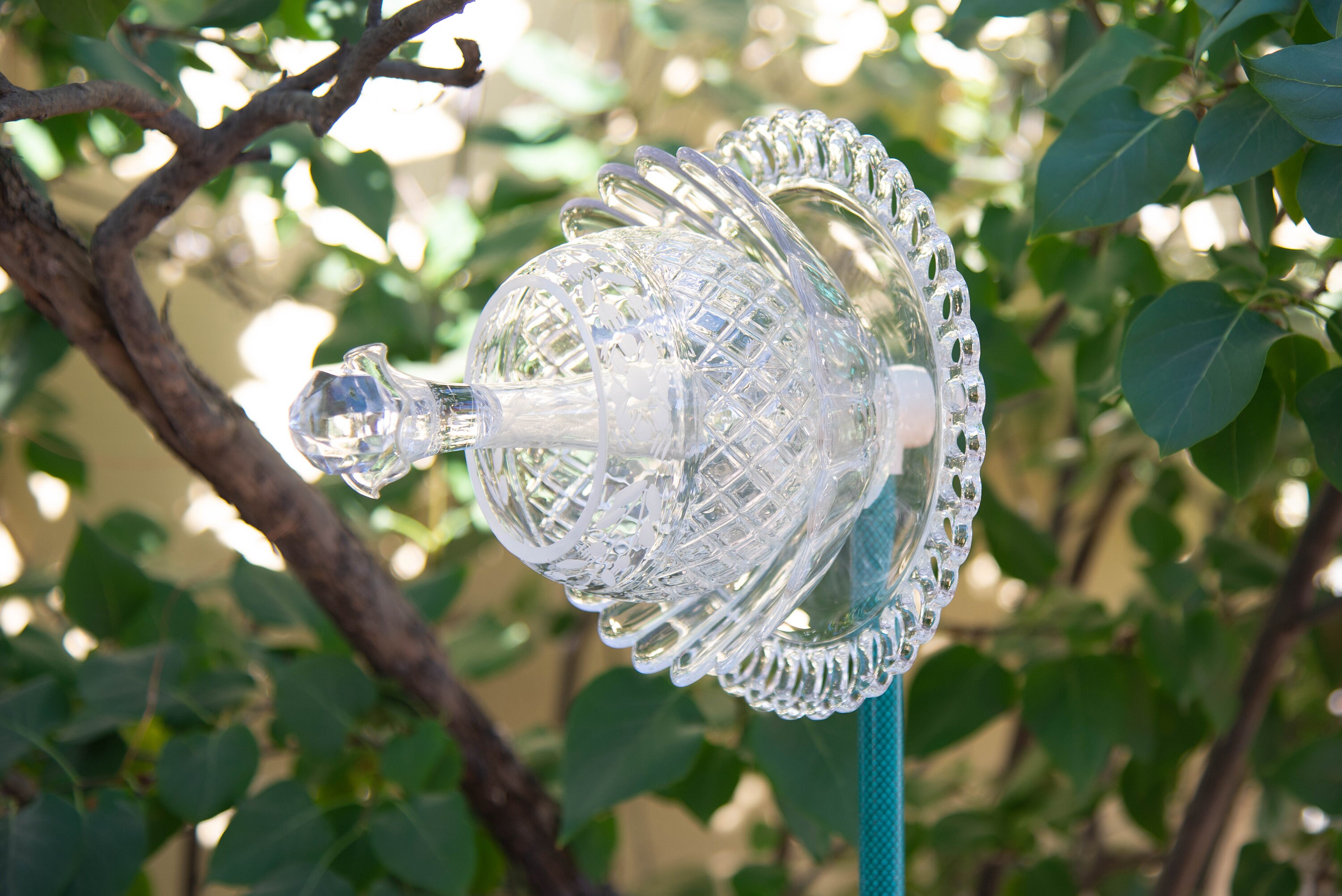 Diphylleia "skeleton Flower"- Glass Flower, Yard Art, Garden Flower ...