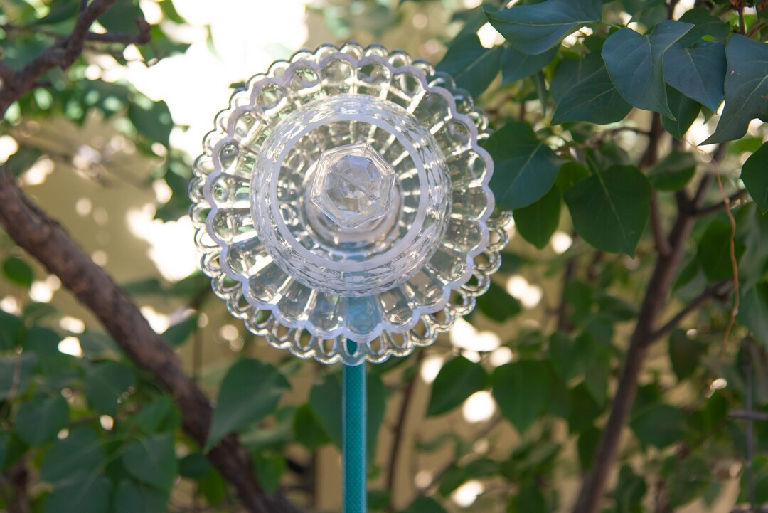 Diphylleia "skeleton Flower"- Glass Flower, Yard Art, Garden Flower ...