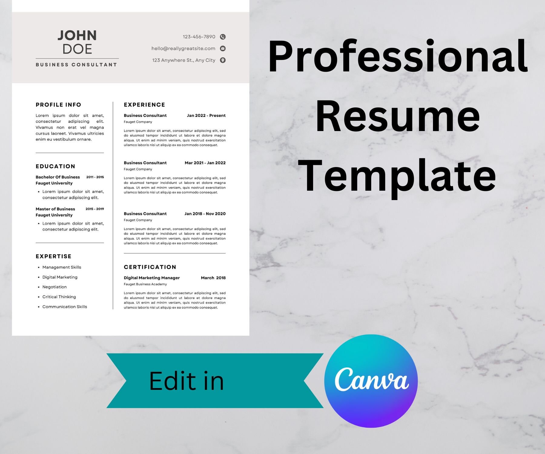Minimalist Professional Resume Template Canva | CV Template Without ...