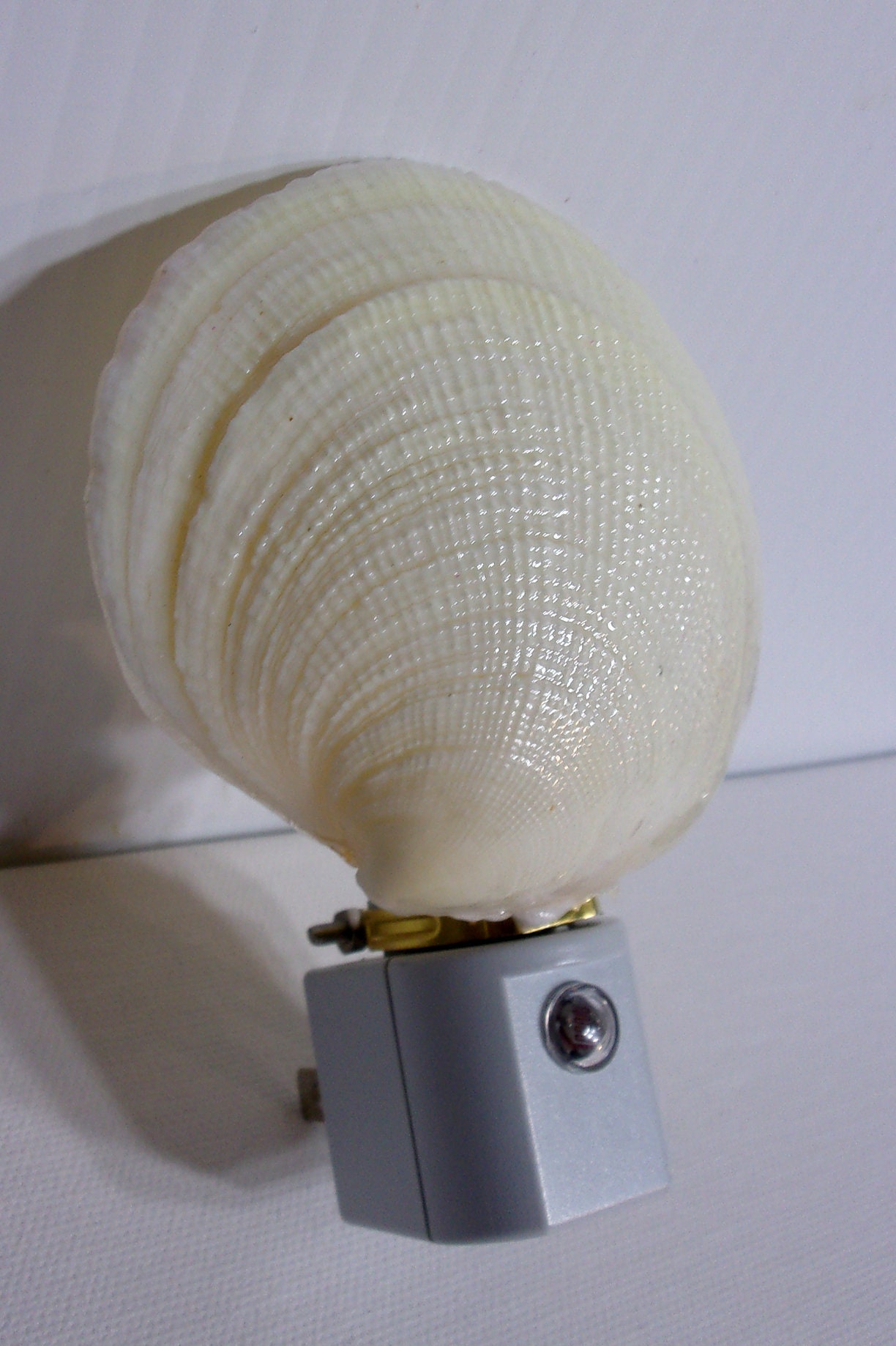Seashell LED Night Light with Sensor