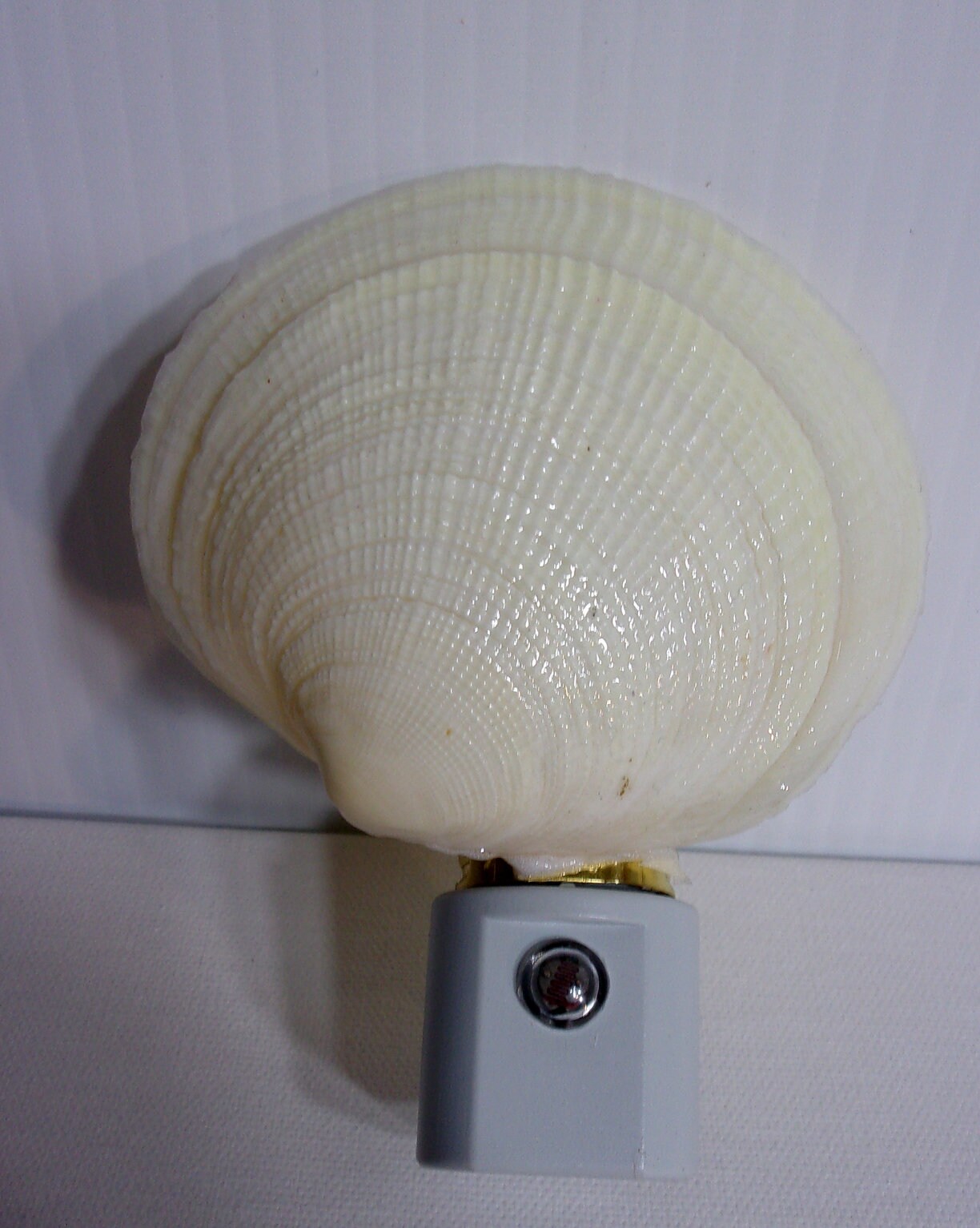 Seashell LED Night Light with Sensor