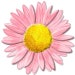 12 Embossed Metal Daisy Sign Pink With Yellow Center for Wreaths or ...