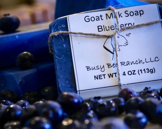 Blueberry Soap - Mini Soaps - Blueberries - Embeds - 3.50oz - Etsy