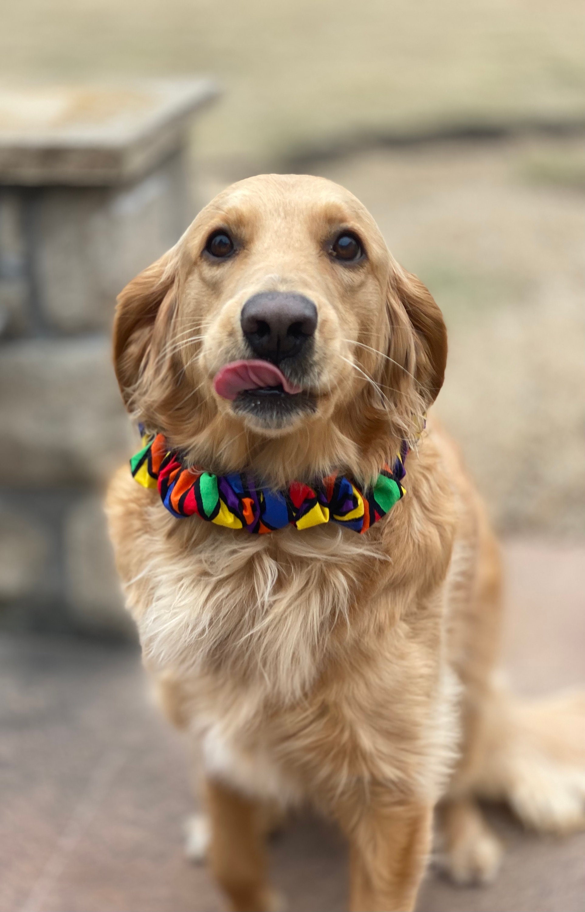 Dog Neck Scrunchie, Paw Print, Neck Ruffle Collar, Ruffle Collar, Fits ...