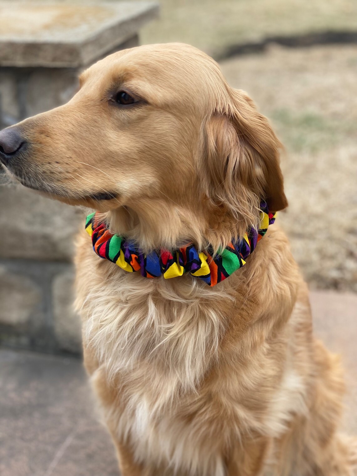 Dog Neck Scrunchie, Paw Print, Neck Ruffle Collar, Ruffle Collar, Fits ...